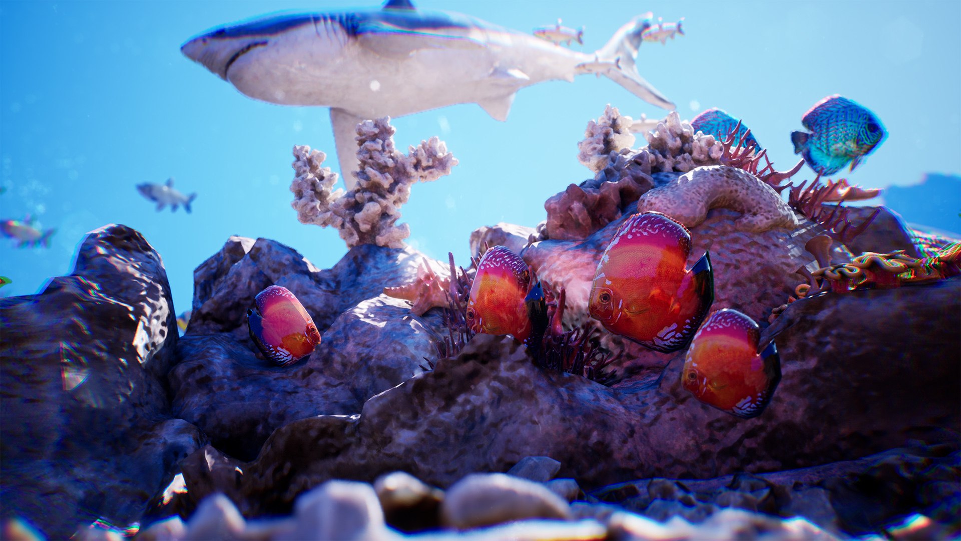 3D Model Ocean Floor Pack High Quality Environment - TurboSquid 2106276