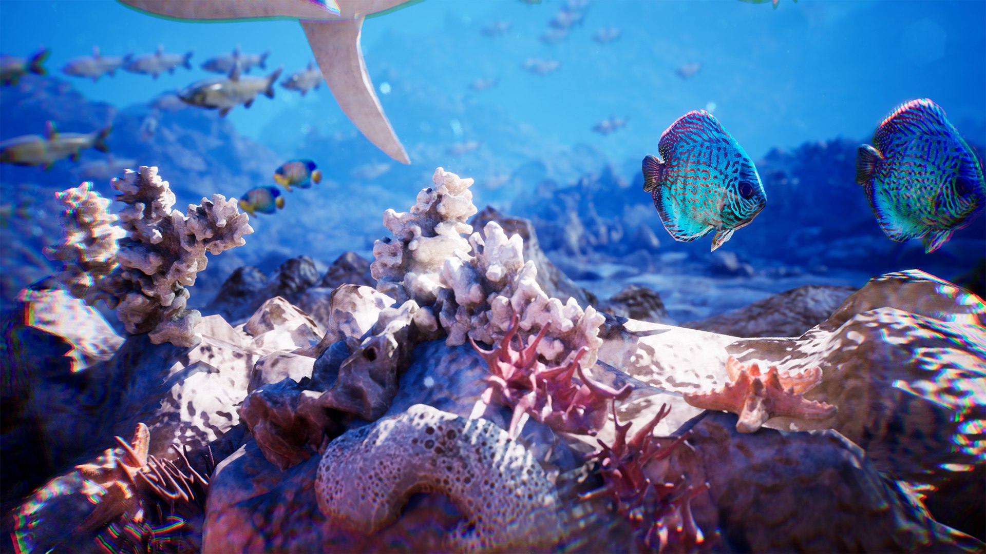 3D Model Ocean Floor Pack High Quality Environment - TurboSquid 2106276