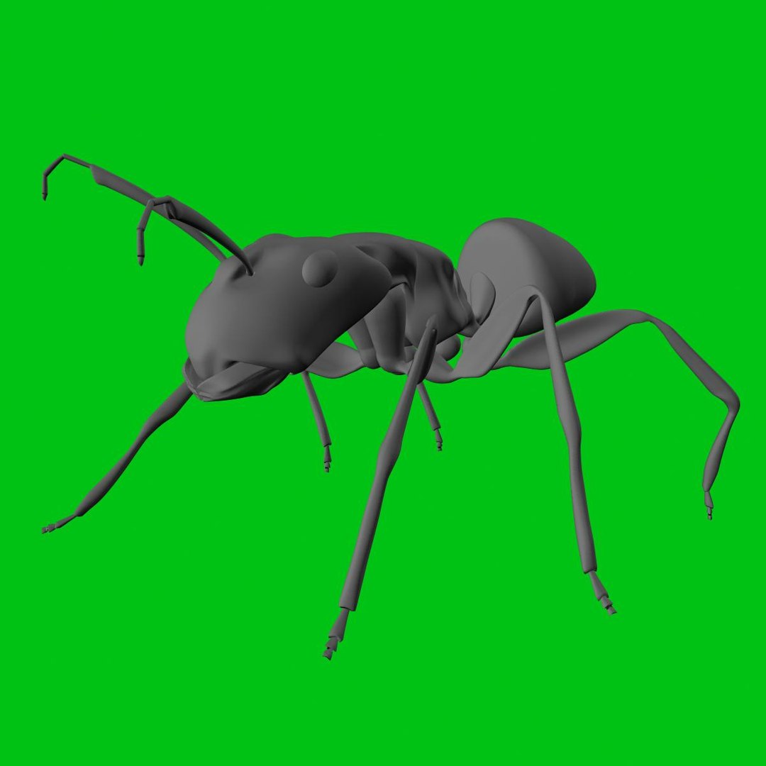 Maya Glass Ant