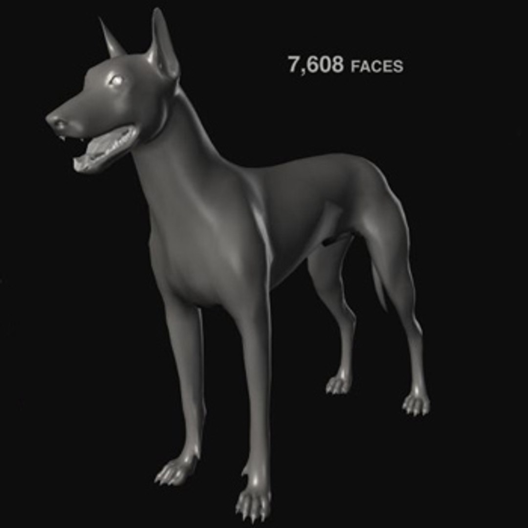 3d dog canine anatomy model