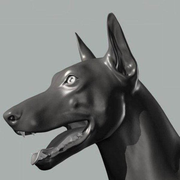 3D Doberman Models | TurboSquid