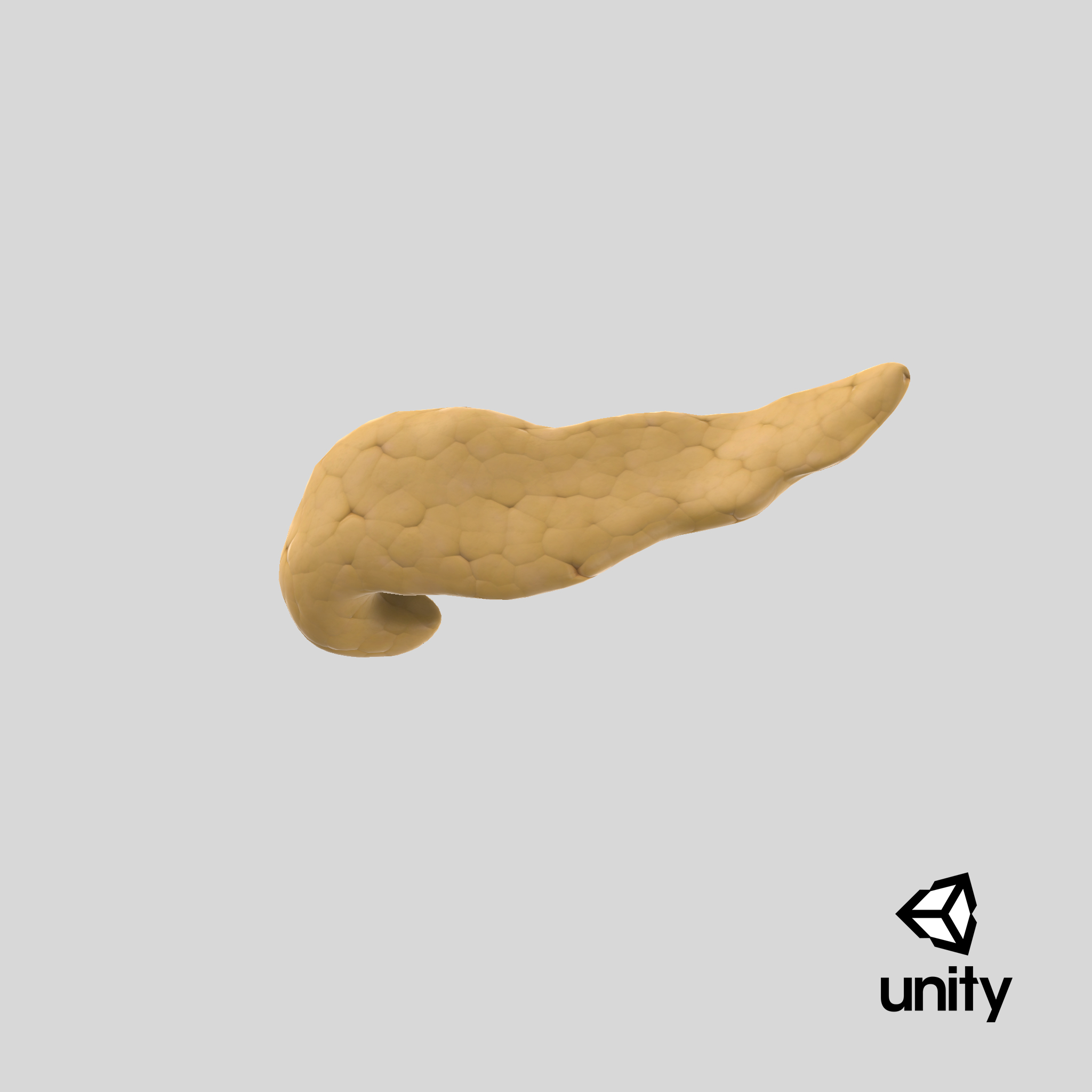 Human pancreas anatomy 3D model - TurboSquid 1732775