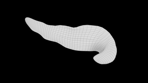 Human pancreas anatomy 3D model - TurboSquid 1732775
