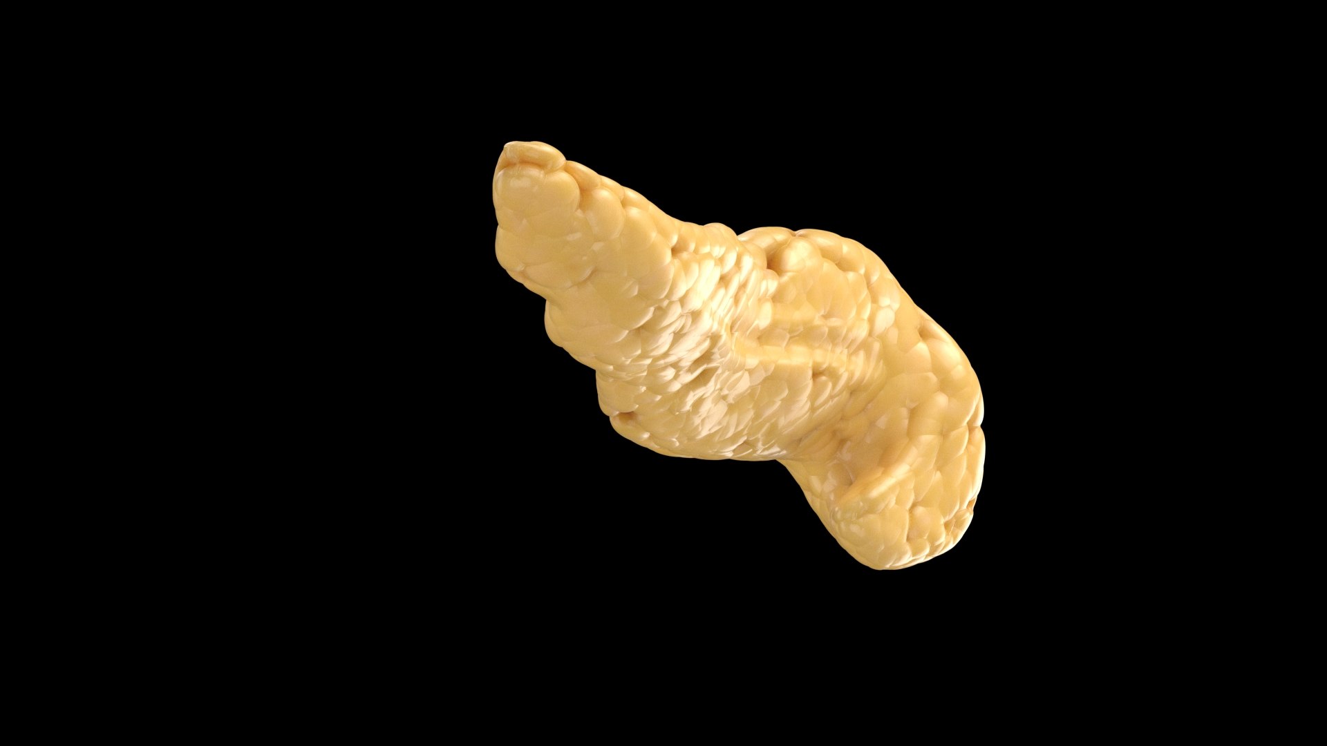 Human Pancreas Anatomy 3D Model - TurboSquid 1732775