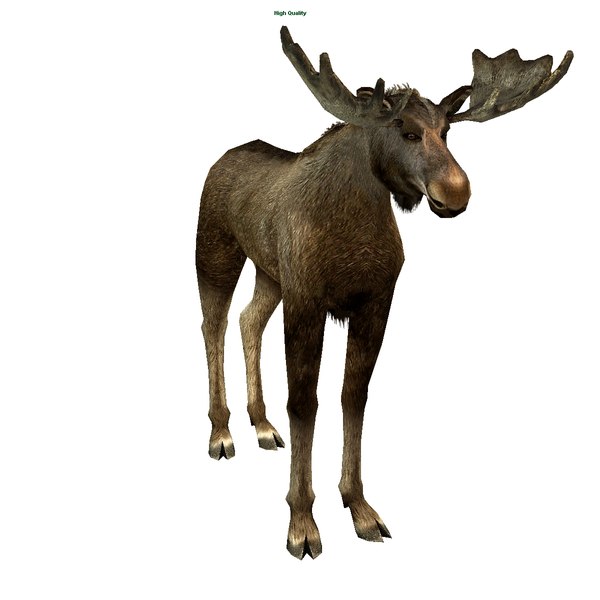 modelo 3d Alce - TurboSquid 605448