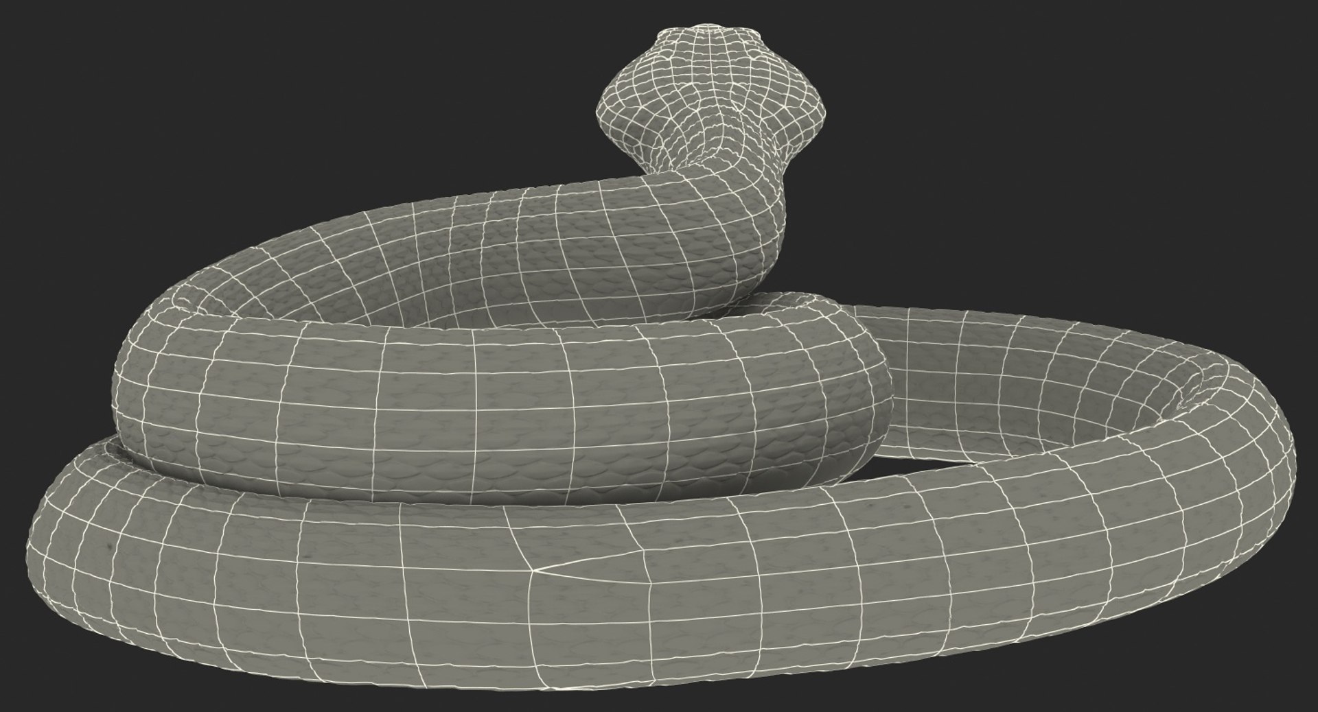 Dark rattlesnake snake rattle 3D model - TurboSquid 1398395