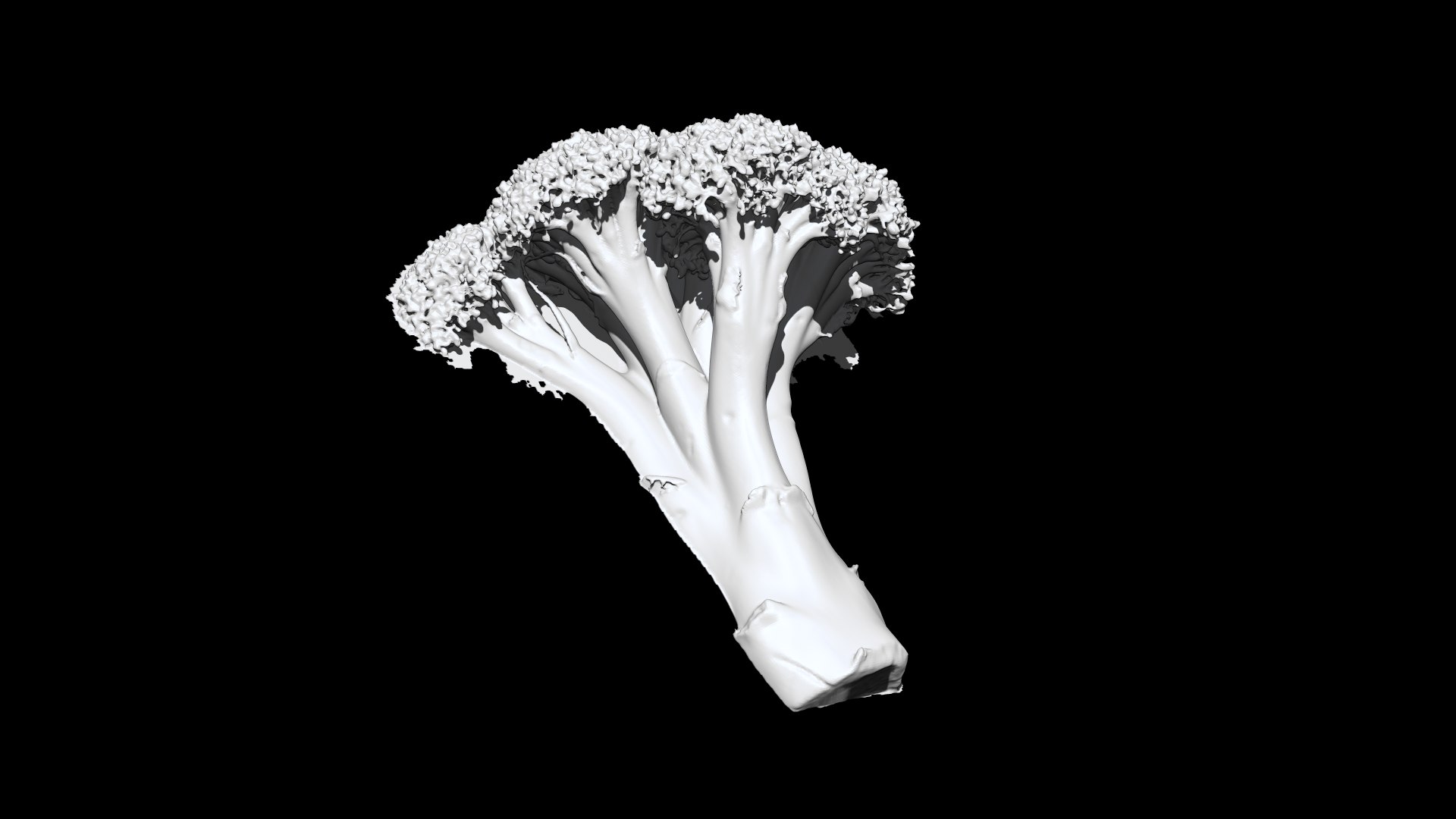 Broccoli Cut 3D CT Scan Model 2 3D Model - TurboSquid 1886416
