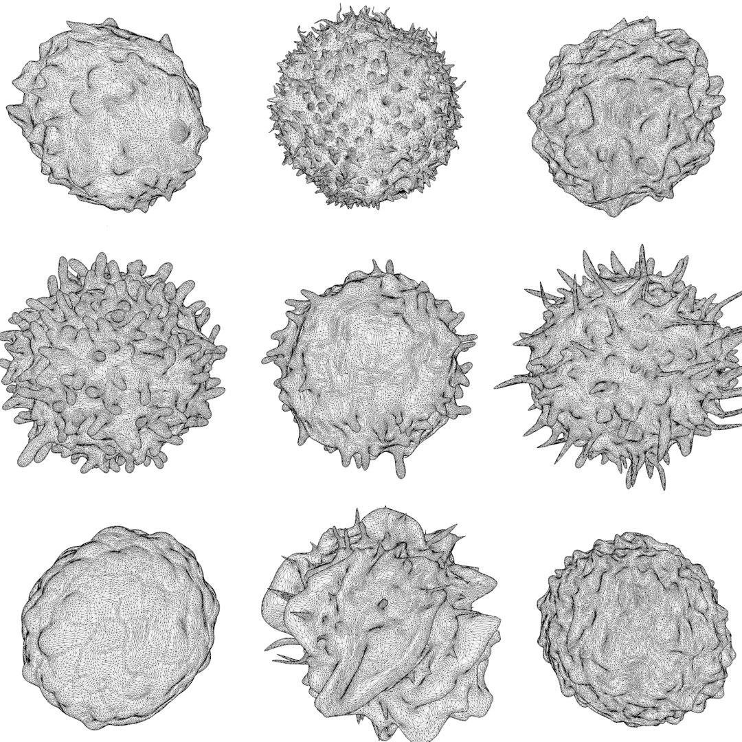 Lymphocyte blood cells 3D model - TurboSquid 1575181