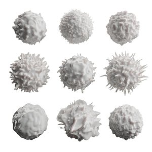 Download 3D Lymphocyte STL Models - TurboSquid