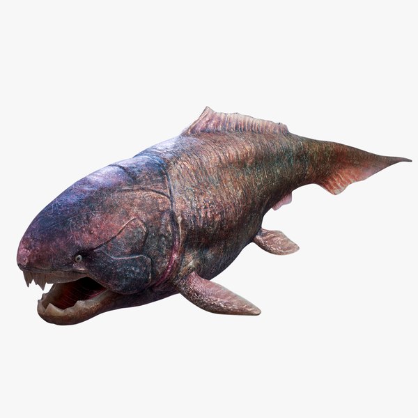 dunkleosteus prehistoric fish 3d ma