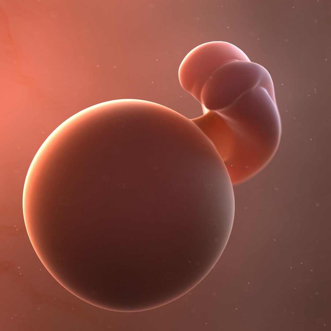 3D Human Week 4 Model - TurboSquid 1174894