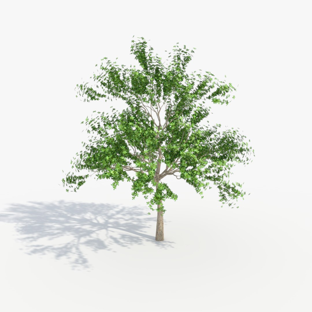 3d Deciduous Tree Pack