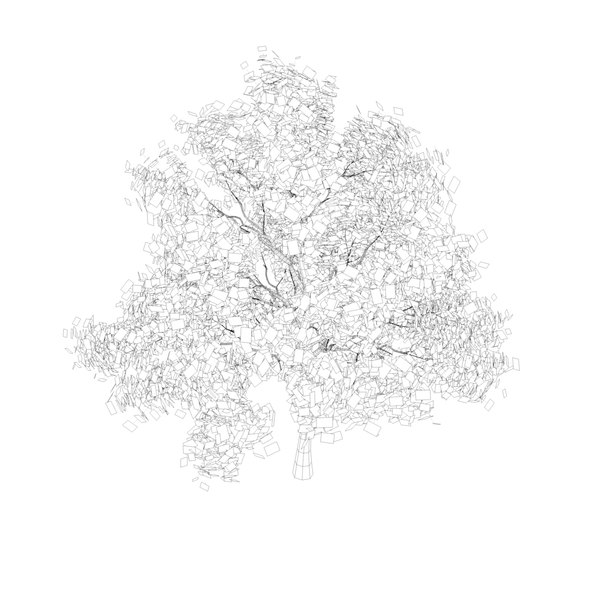 3d deciduous tree pack