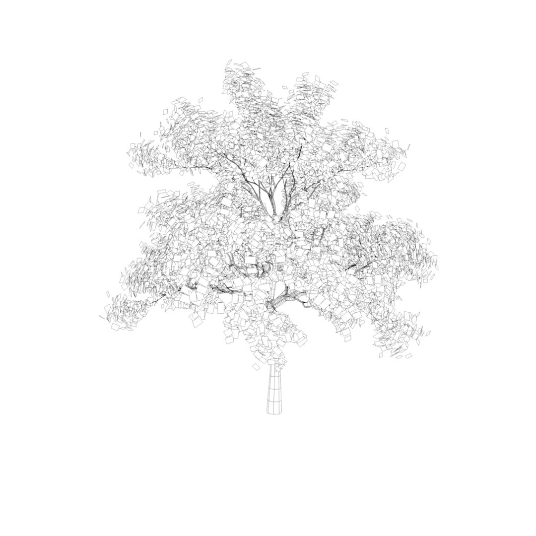 3d Deciduous Tree Pack