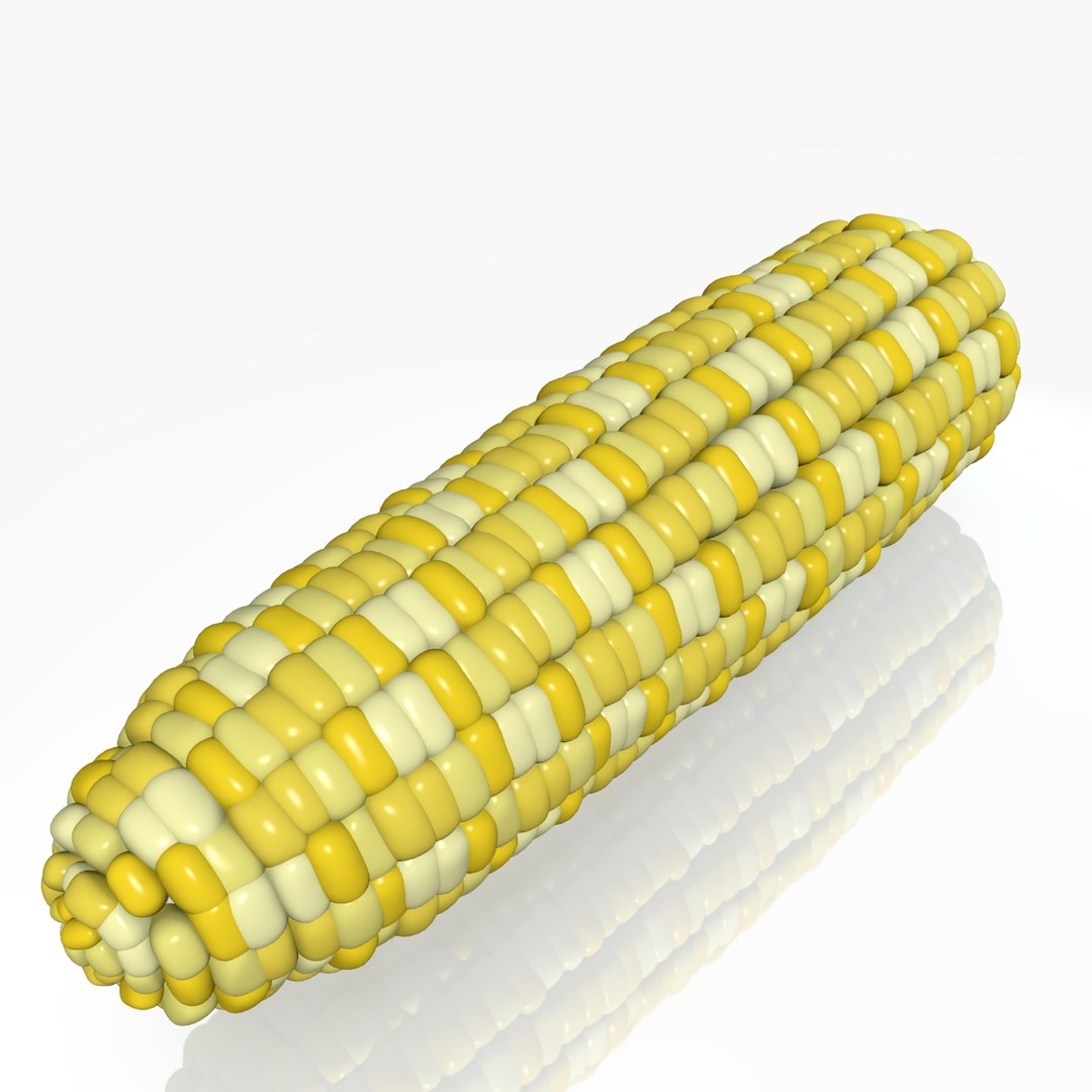 Ear Corn 3d Model