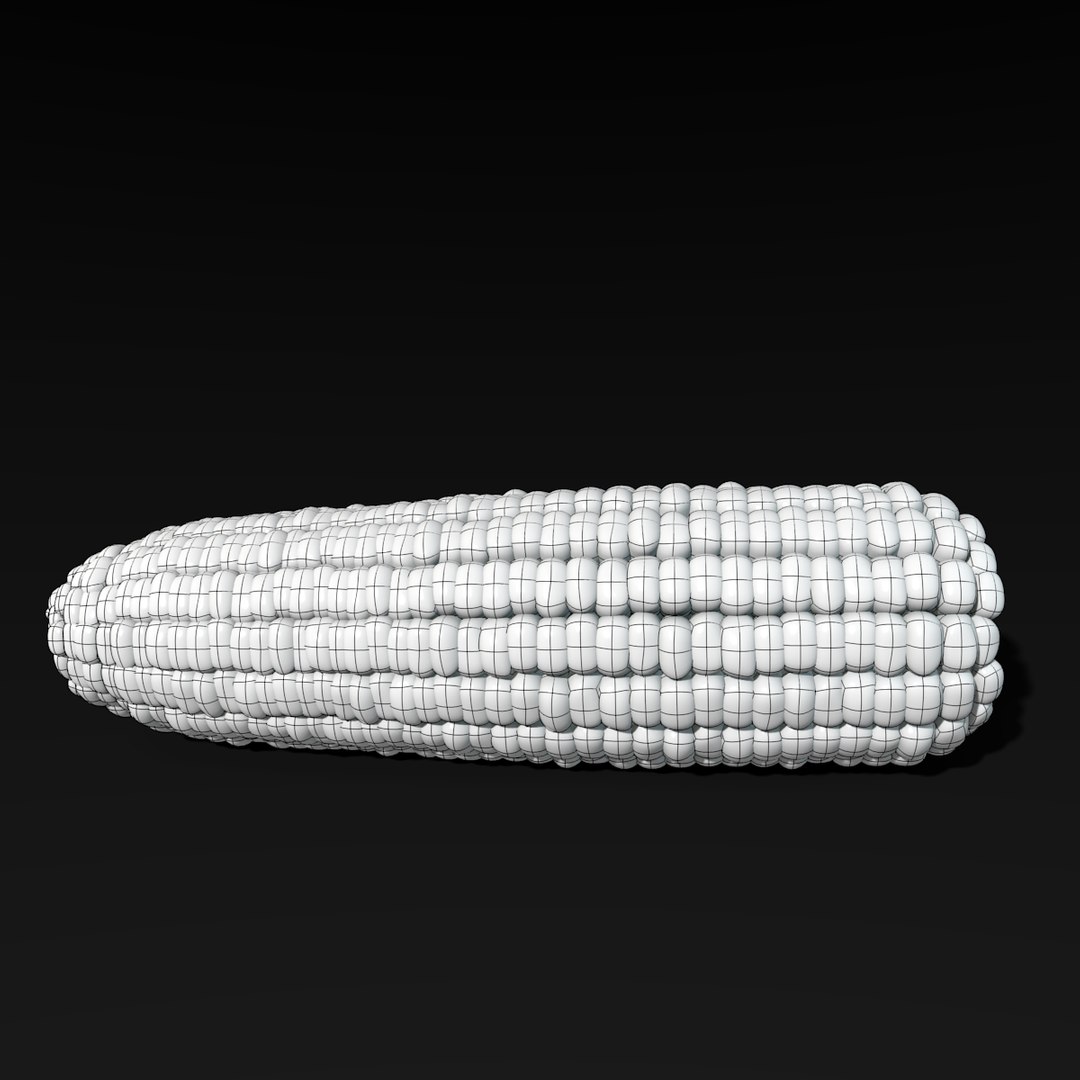Ear Corn 3d Model