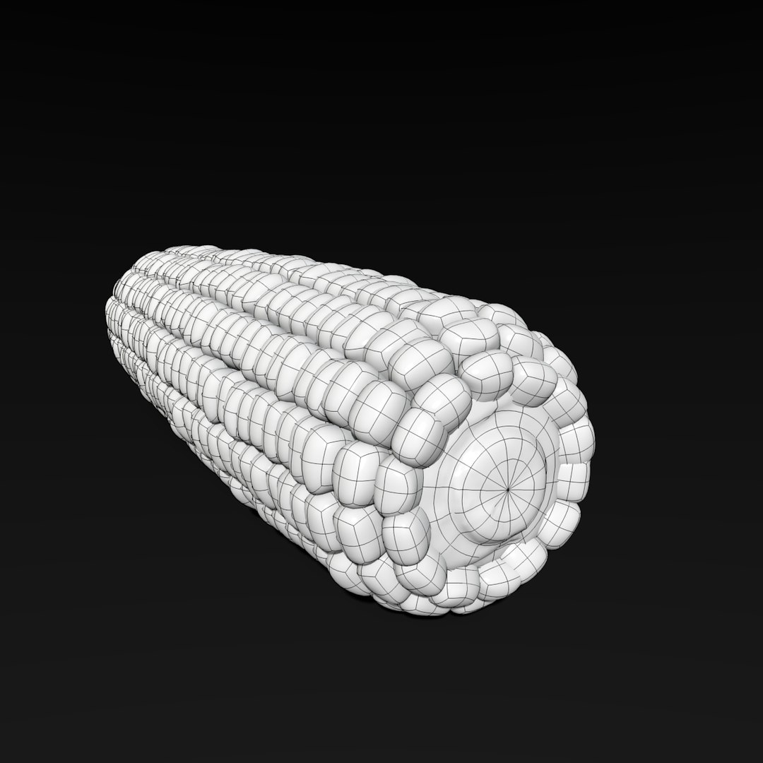 Ear Corn 3d Model