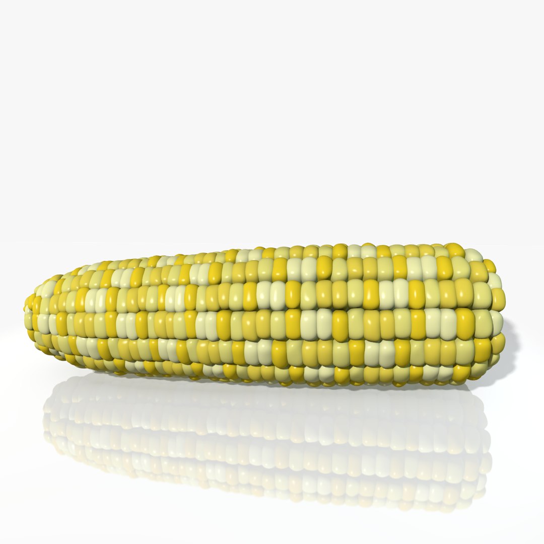Ear Corn 3d Model