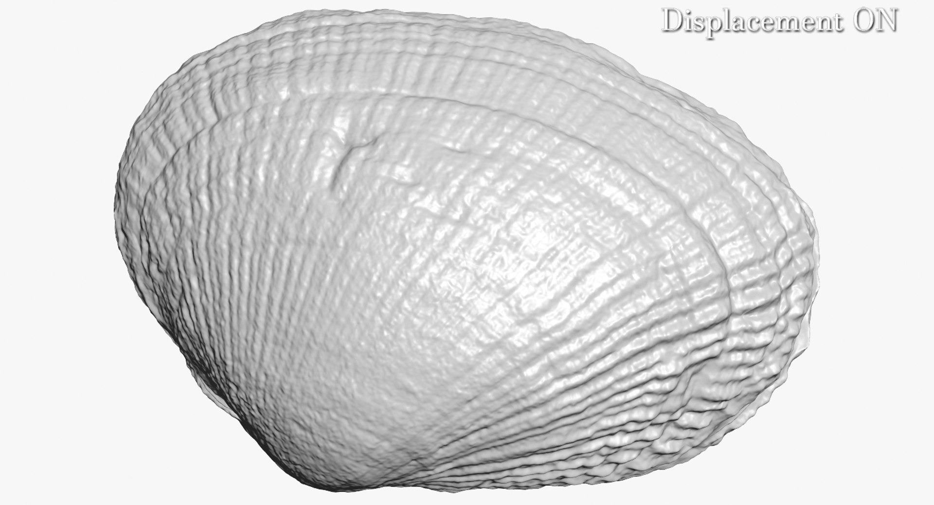 Sea Shell 3d 3ds