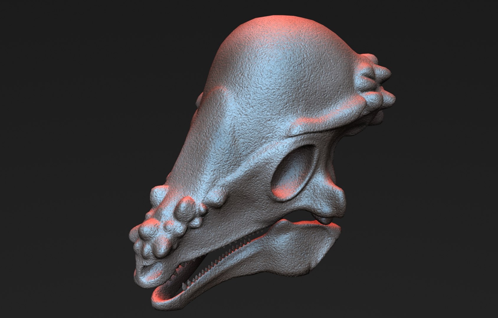 3D Pachycephalosaurus Skull - TurboSquid 1228853