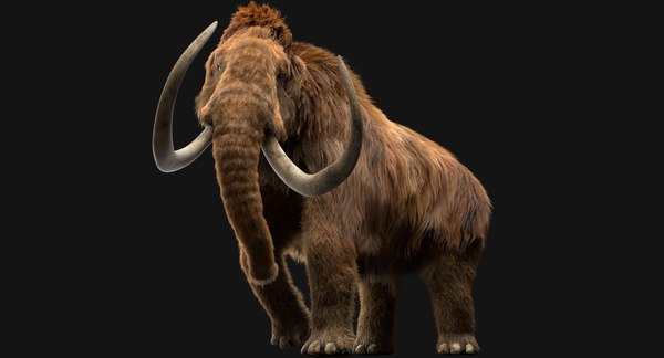 Mammoth anatomy bone 3D model - TurboSquid 1398011