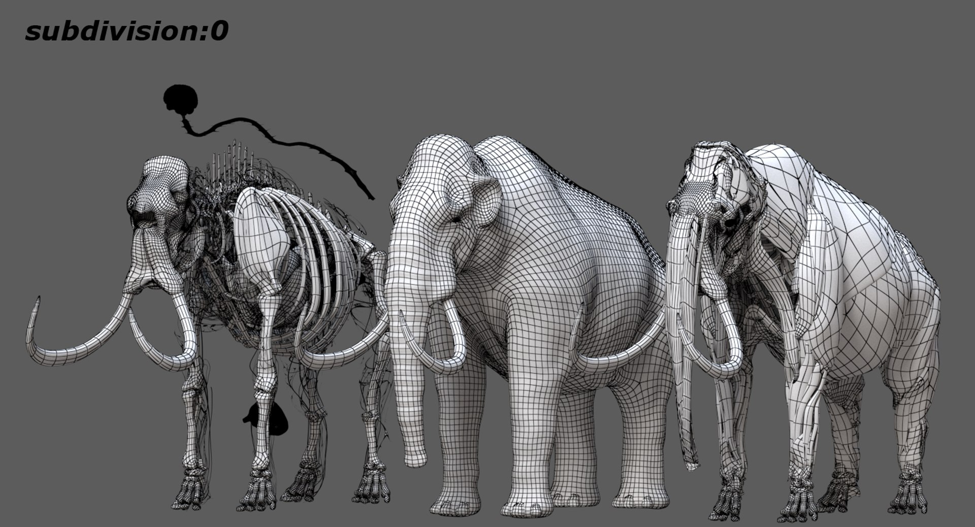 Mammoth anatomy bone 3D model - TurboSquid 1398011