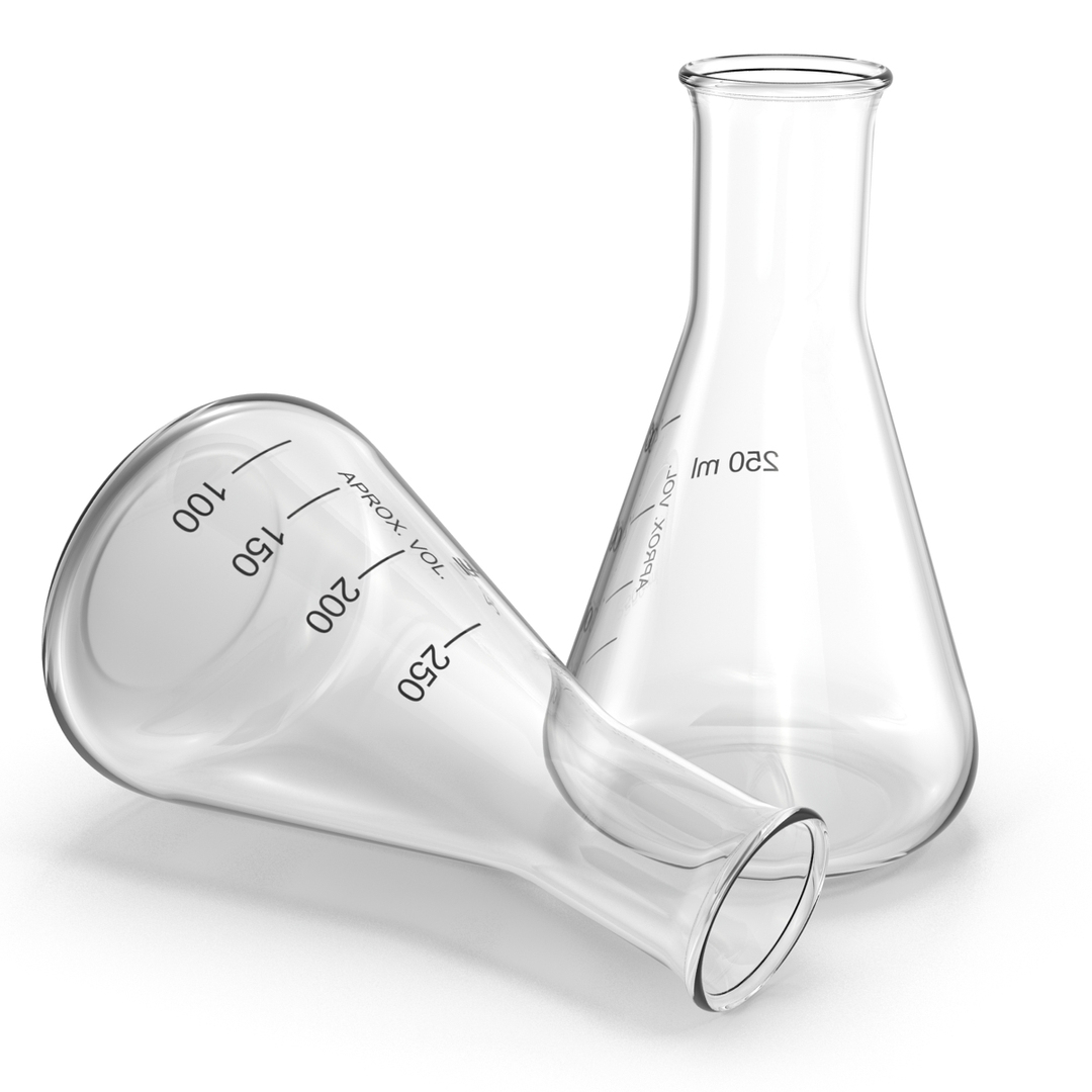 250 ml erlenmeyer flask 3d model