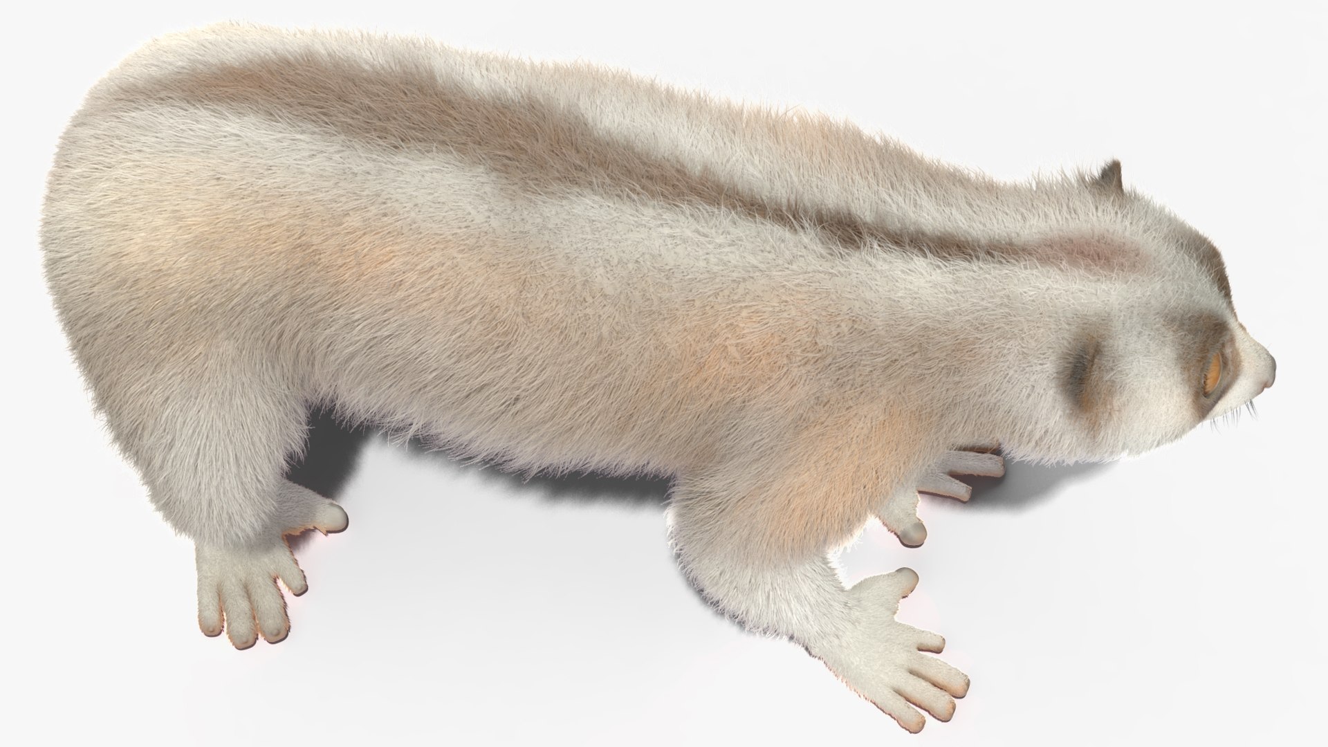 3D Model Lemur Javan Slow Loris Fur - TurboSquid 2140339