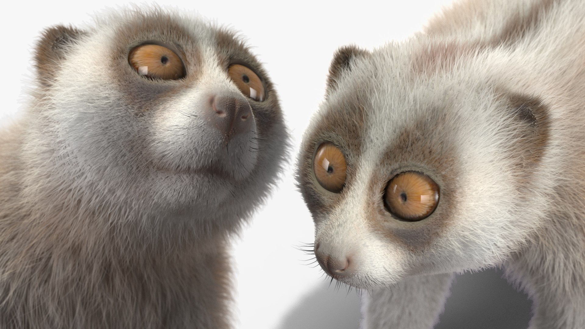 3D Model Lemur Javan Slow Loris Fur - TurboSquid 2140339