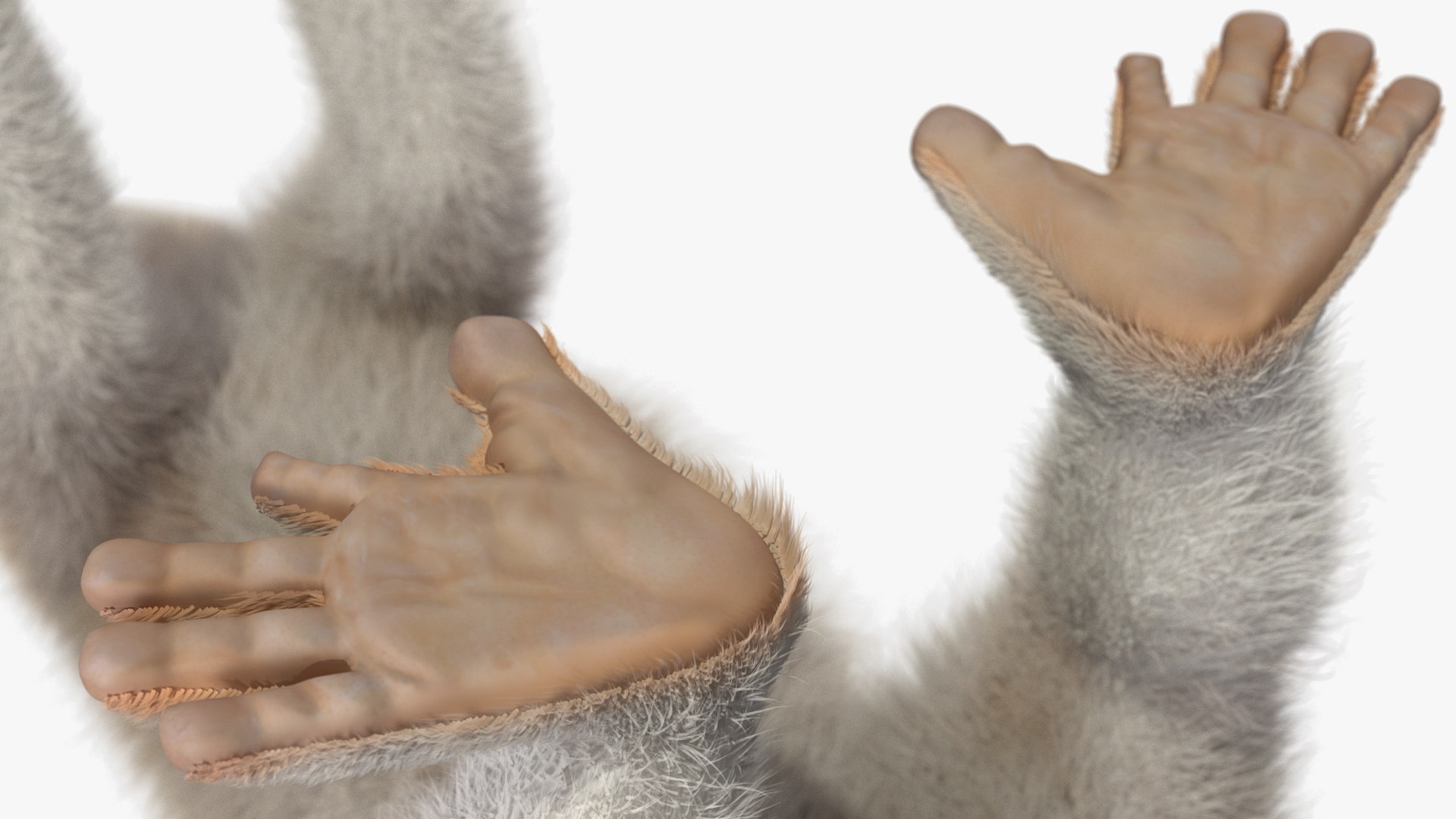 3D Model Lemur Javan Slow Loris Fur - TurboSquid 2140339