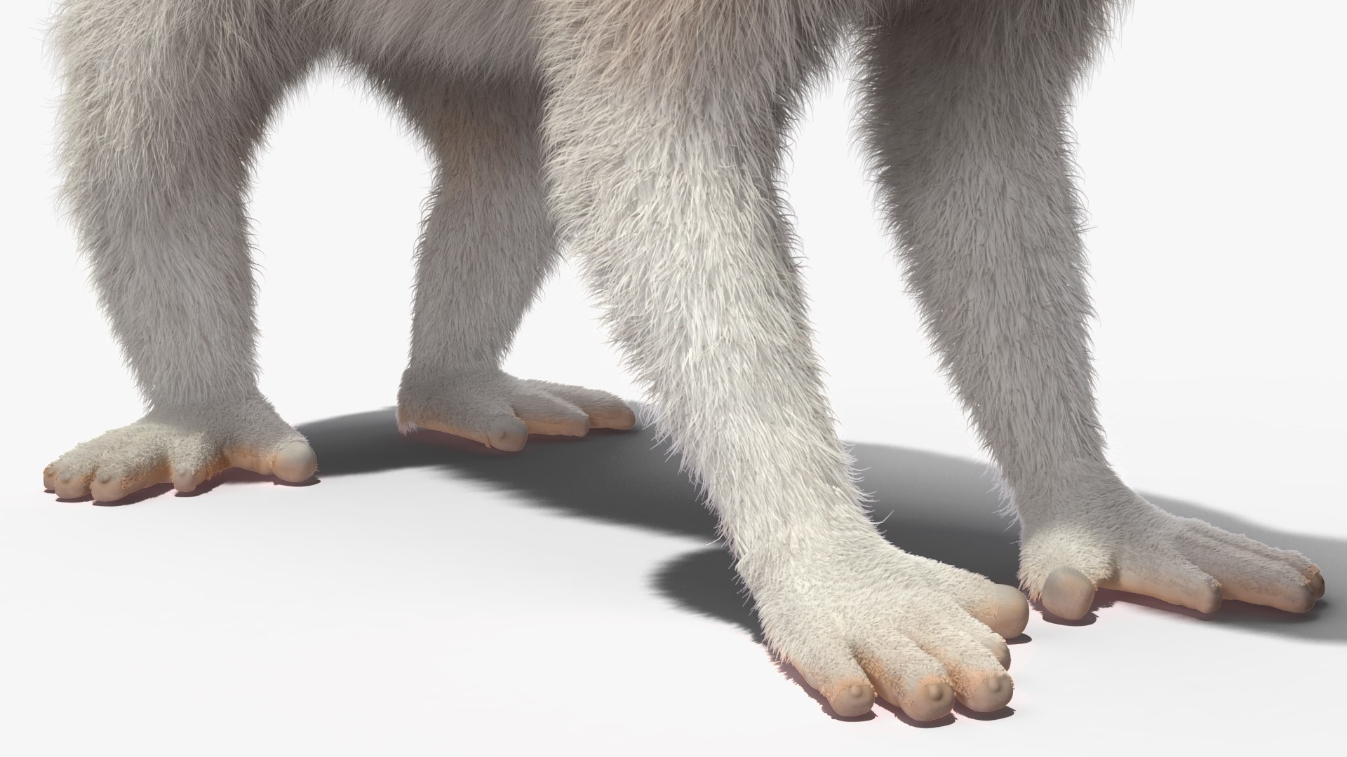 3D Model Lemur Javan Slow Loris Fur - TurboSquid 2140339