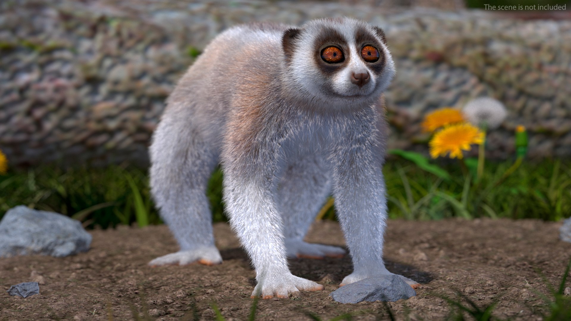 3D Model Lemur Javan Slow Loris Fur - TurboSquid 2140339