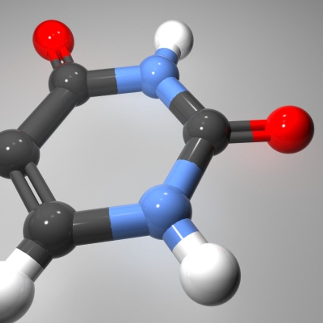 3ds max thymine nucleobase dna