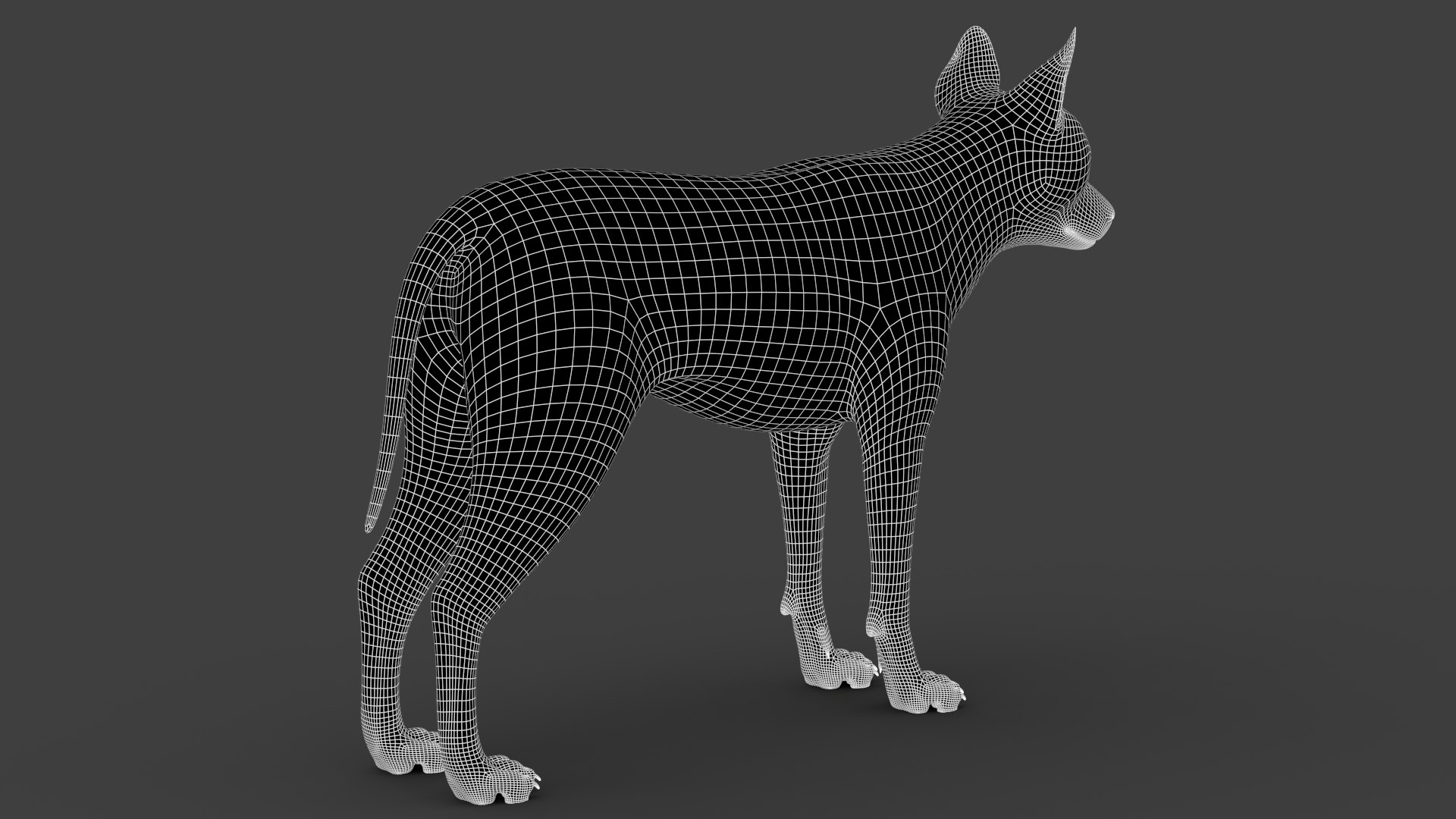Black Timber Wolf Xgen Rigged 3D Model - TurboSquid 2075898