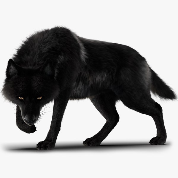Wolf 3D Models for Download | TurboSquid