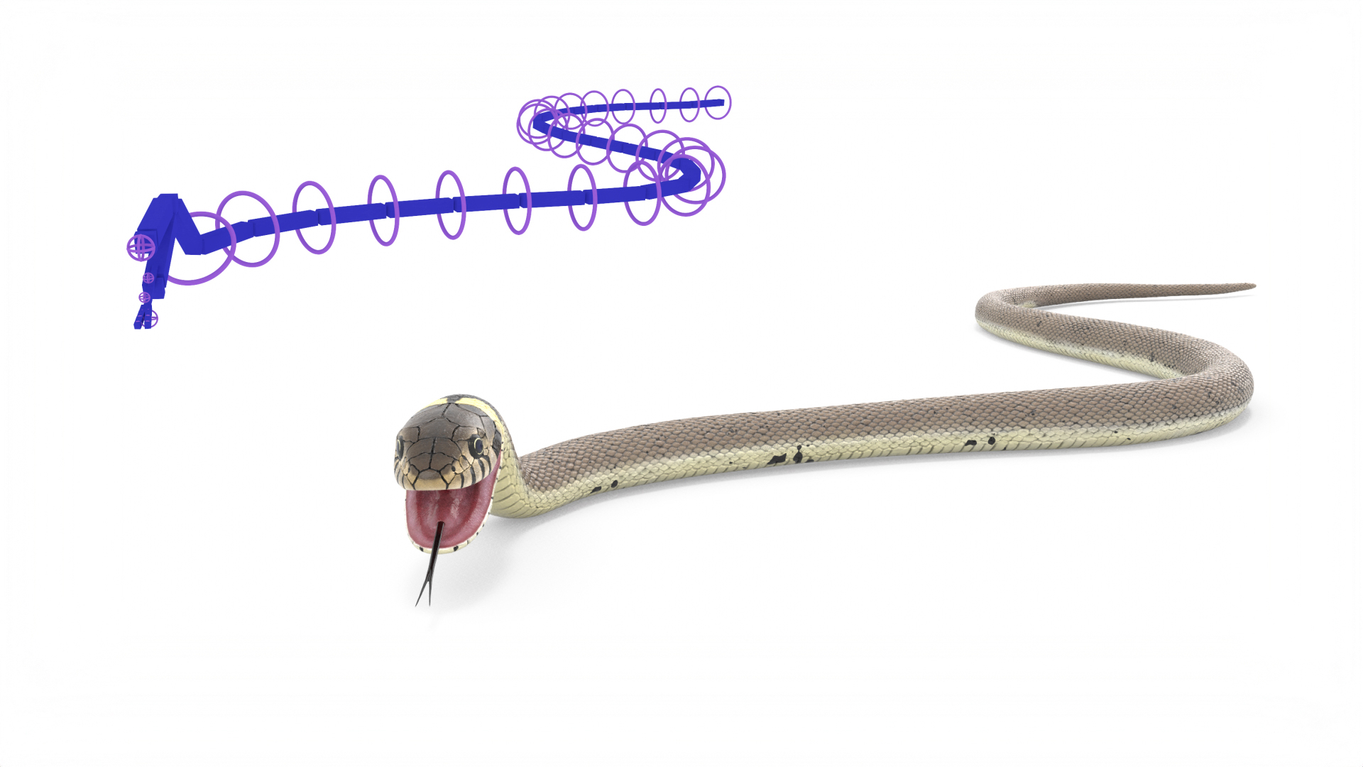 3D Model Natrix Natrix Rigged - TurboSquid 2247554