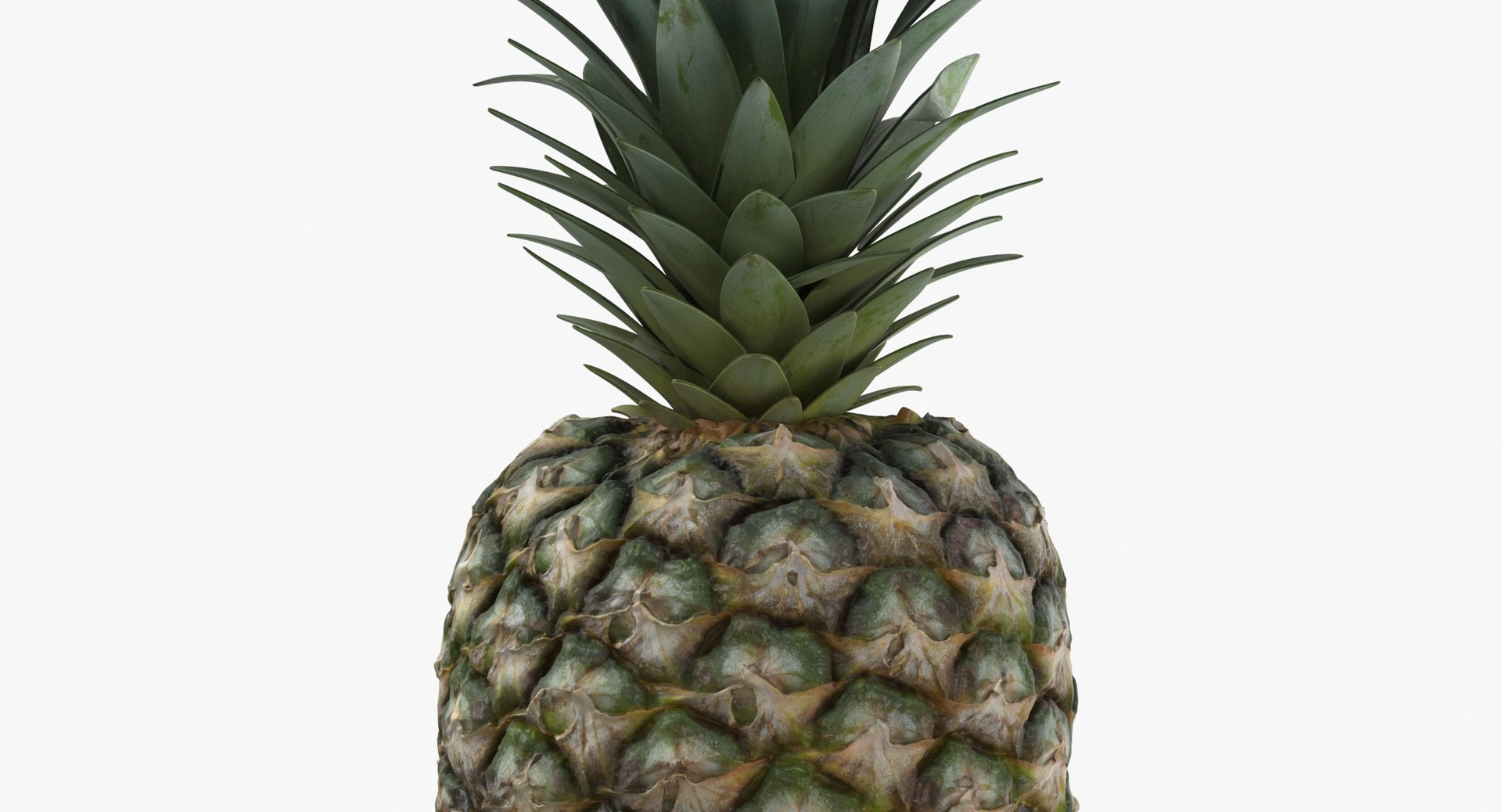 Pineapple 01 3D Model - TurboSquid 1620811