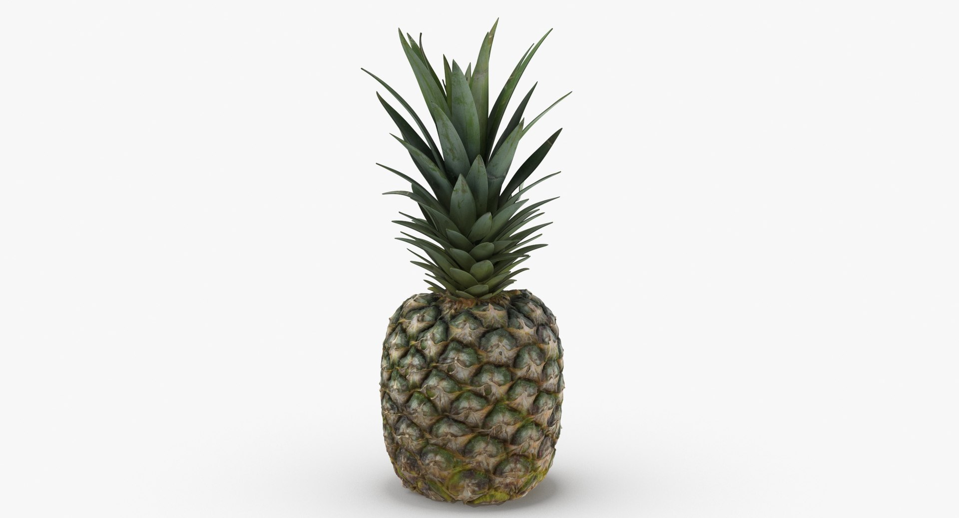 Pineapple 01 3D Model - TurboSquid 1620811