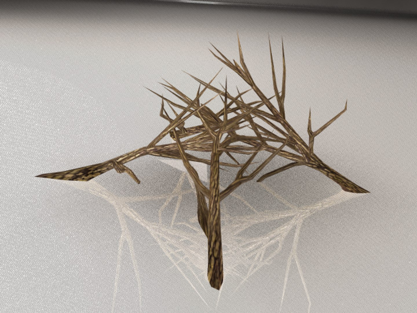 3d Model Branches