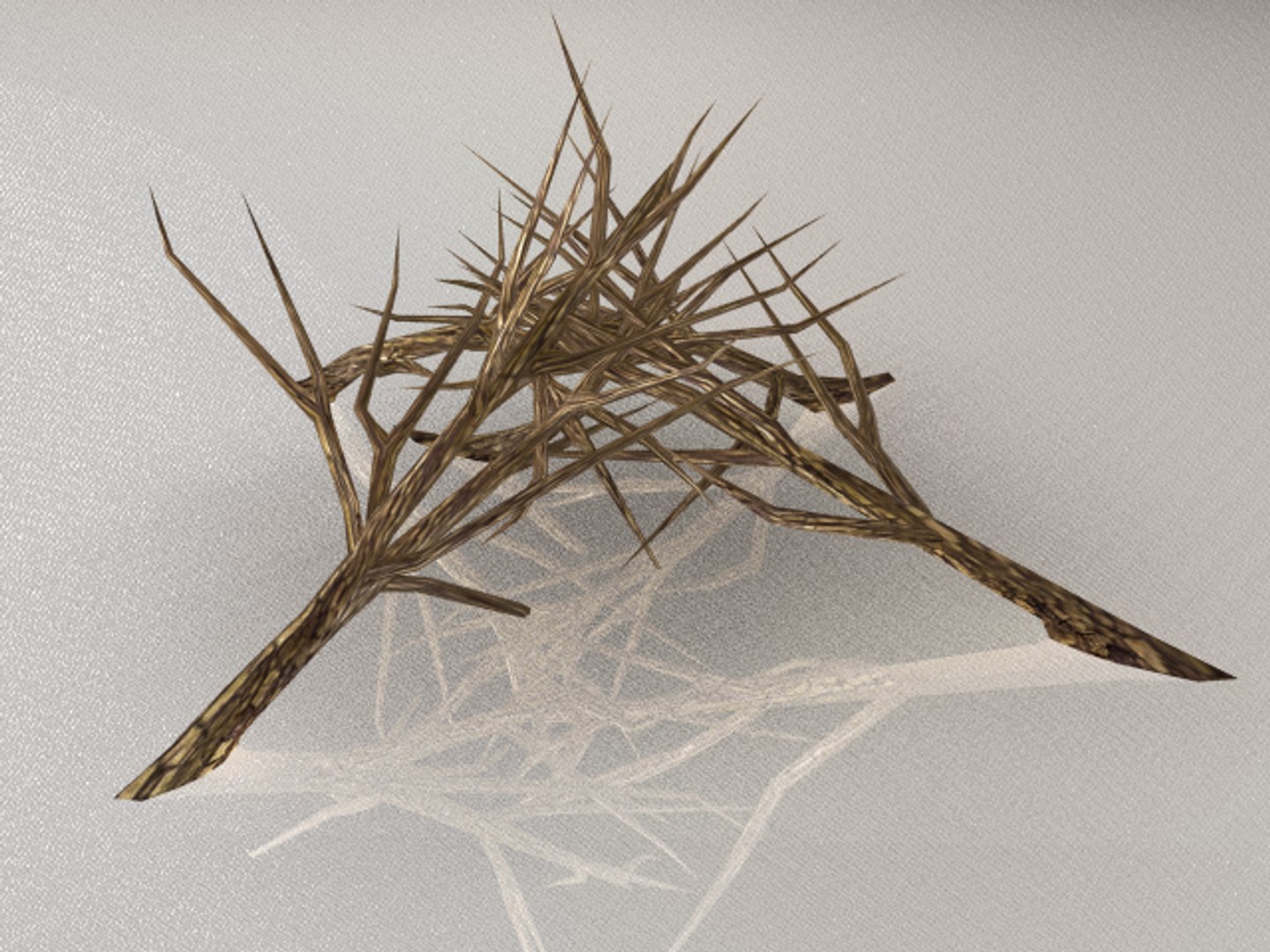 3d Model Branches