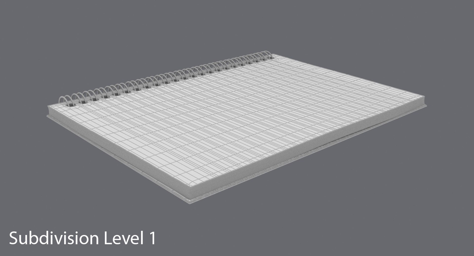 3d Wire Notebook Model