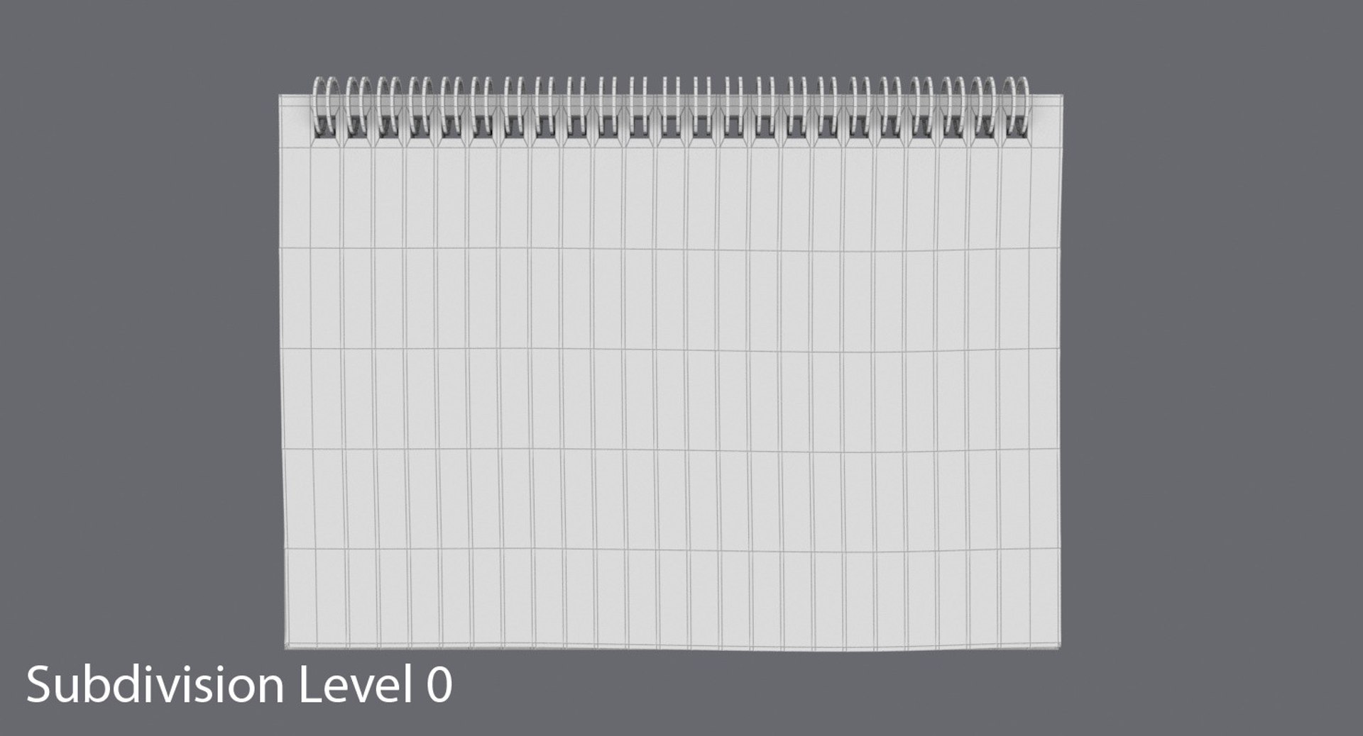 3d Wire Notebook Model