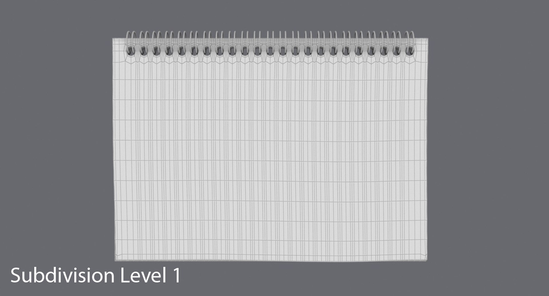 3d Wire Notebook Model