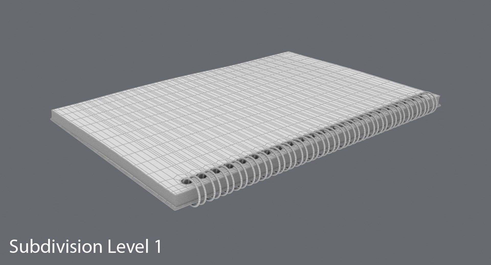 3d Wire Notebook Model