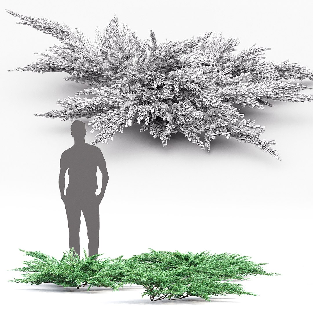 3D Juniper Bushes Model - TurboSquid 1691604