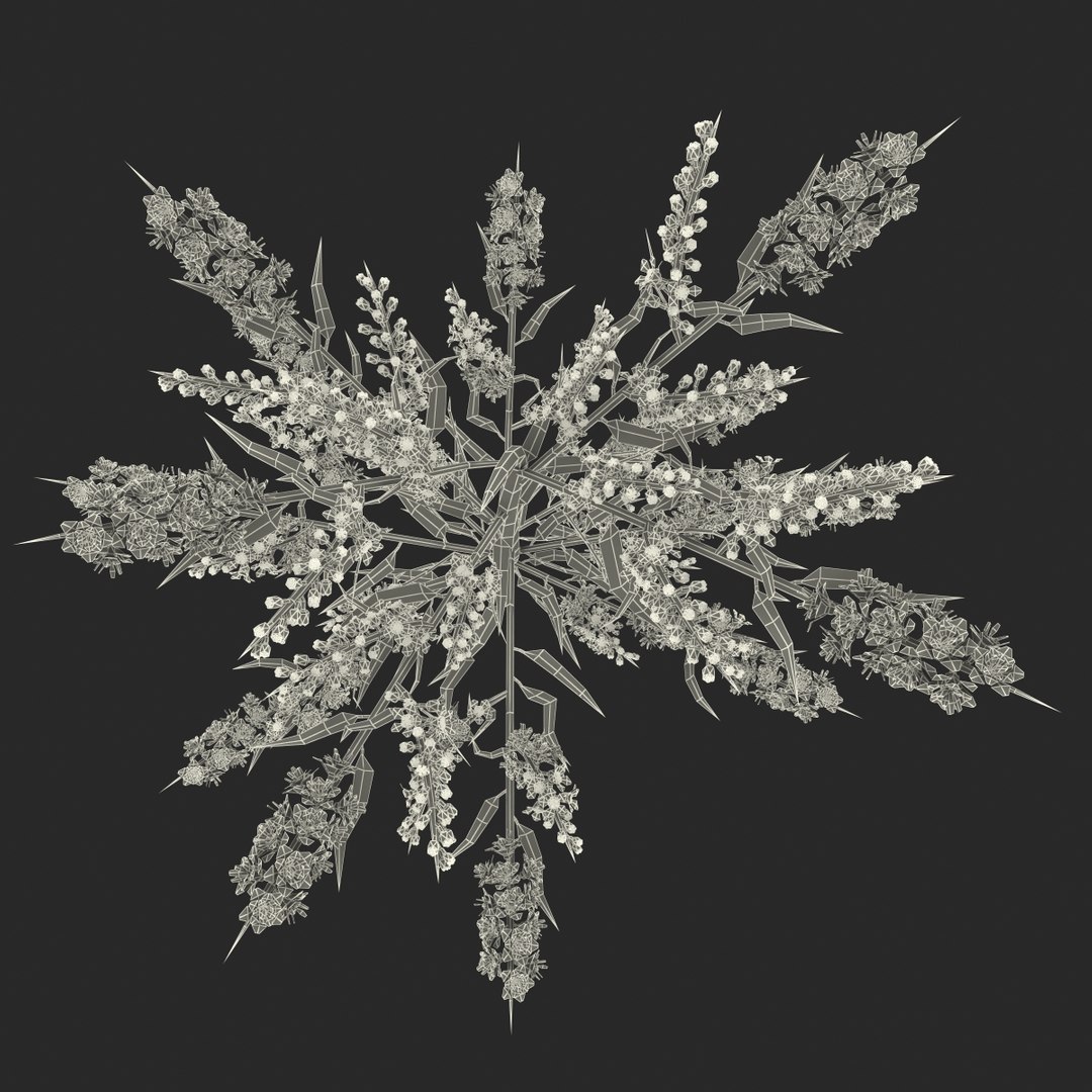 Goldenrod Plant 3d C4d
