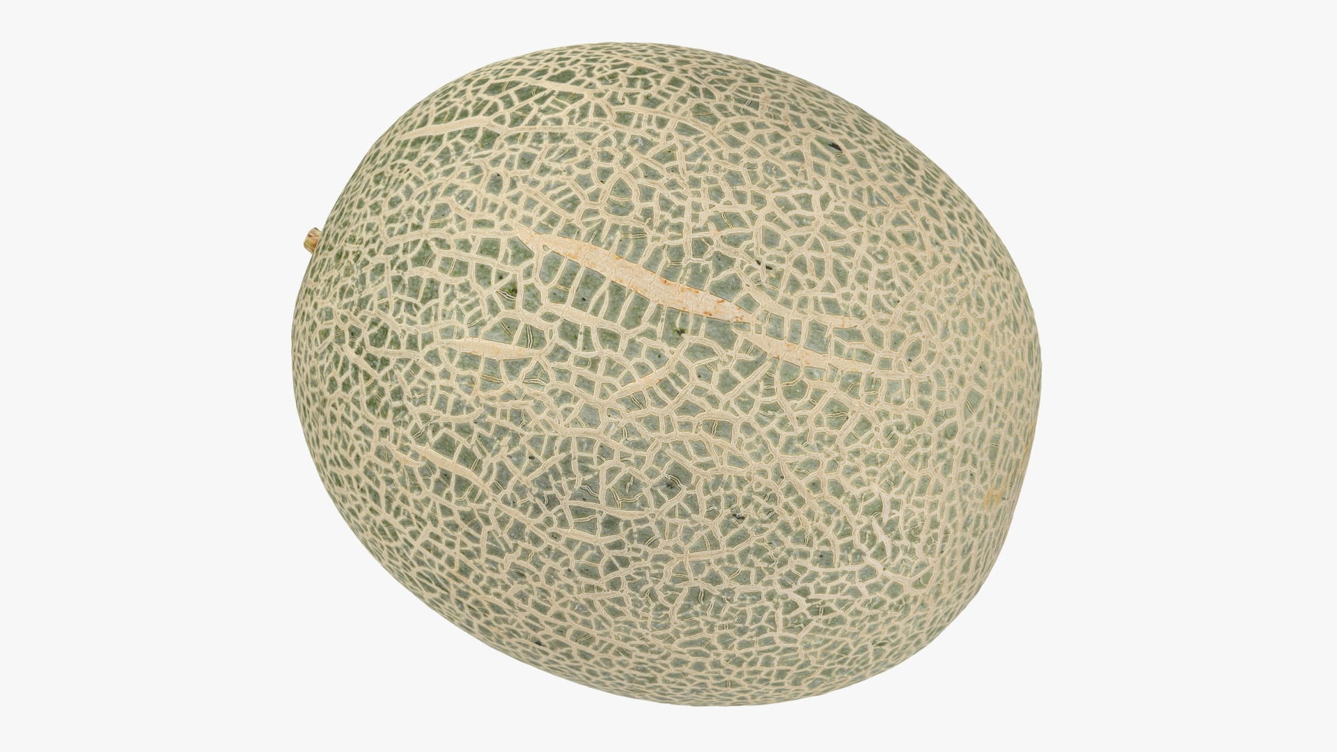 3D Melon Collection - TurboSquid 2226013