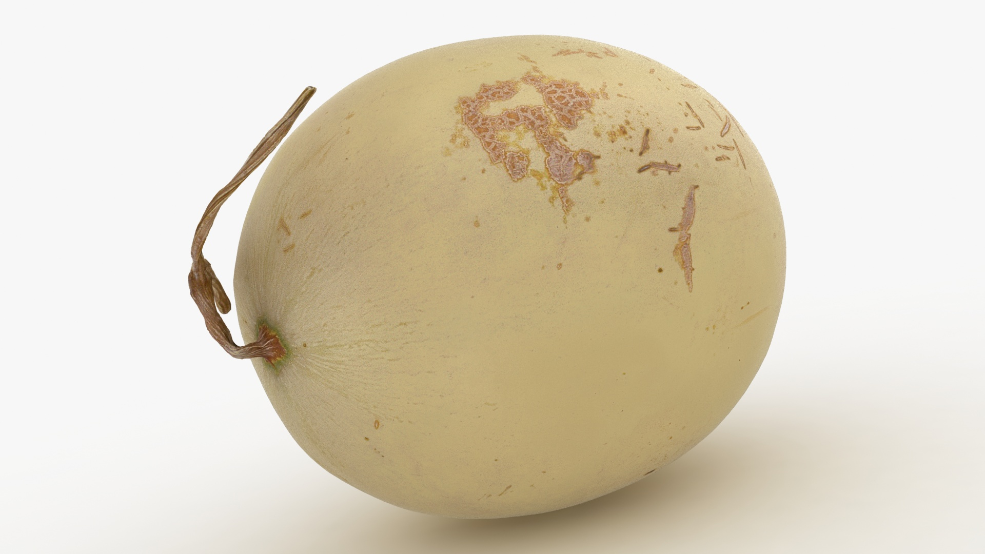 3D Melon Collection - TurboSquid 2226013