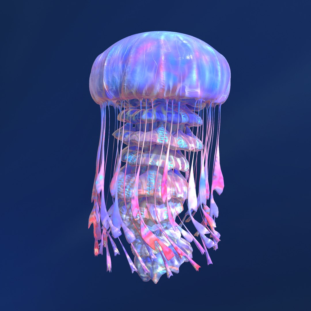 3D Model 3d Model Jellyfish - TurboSquid 2252015