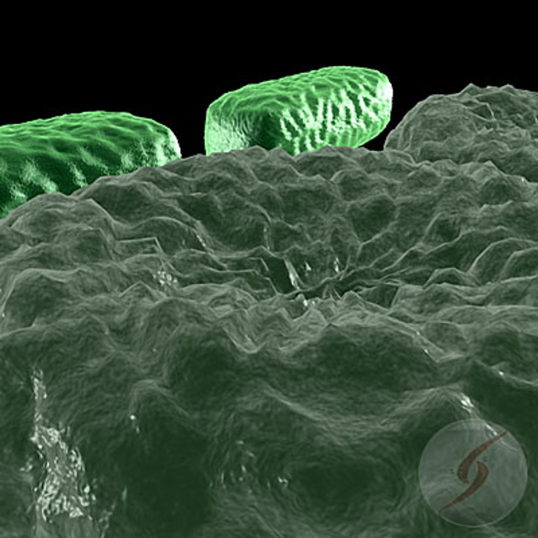 Celulas Cells 3d Model
